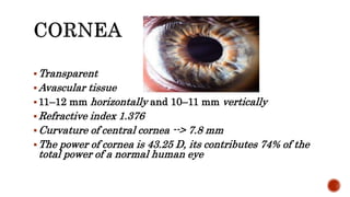 Anatomi fisiologi kornea | PPT