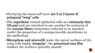 Anatomi fisiologi kornea | PPT