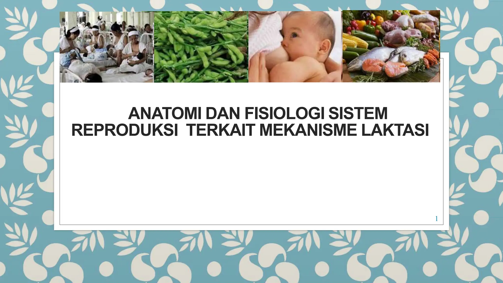 Keperawatan Anatomi Fisiologi Laktasi.pptx