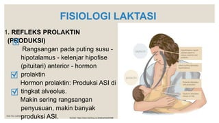 Keperawatan Anatomi Fisiologi Laktasi.pptx