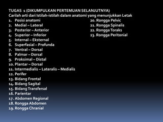 Anatomi & fisiologi manusia | PPTX