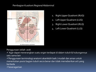 Anatomi & fisiologi manusia | PPTX
