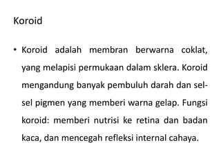 Anatomi fisiologi mata | PPT