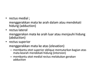 Anatomi fisiologi mata | PPT