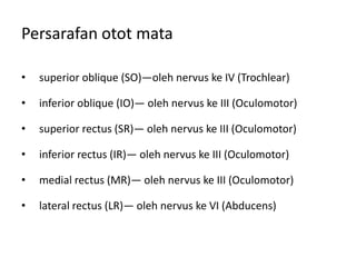 Anatomi fisiologi mata | PPT