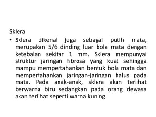 Anatomi fisiologi mata | PPTX