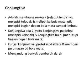 Anatomi fisiologi mata | PPT