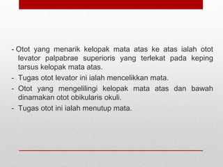ANATOMI & FISIOLOGI MATA | PPT