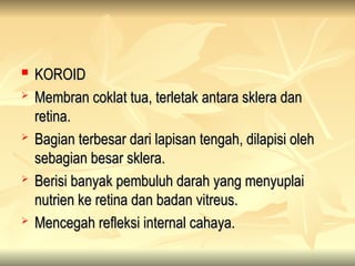MATA KULIAH ANATOMI FISIOLOGI MATA...ppt