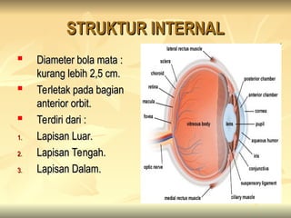 MATA KULIAH ANATOMI FISIOLOGI MATA...ppt