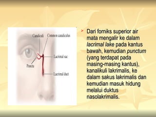 MATA KULIAH ANATOMI FISIOLOGI MATA...ppt