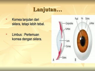 MATA KULIAH ANATOMI FISIOLOGI MATA...ppt