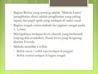 Anatomi fisiologi mata dr.Adhita Dwi A | PPT
