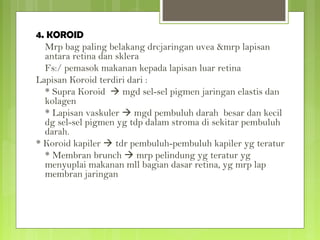 Anatomi fisiologi mata dr.Adhita Dwi A | PPT