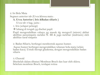 Anatomi fisiologi mata dr.Adhita Dwi A | PPT