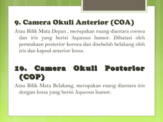 Anatomi fisiologi mata dr.Adhita Dwi A | PPT