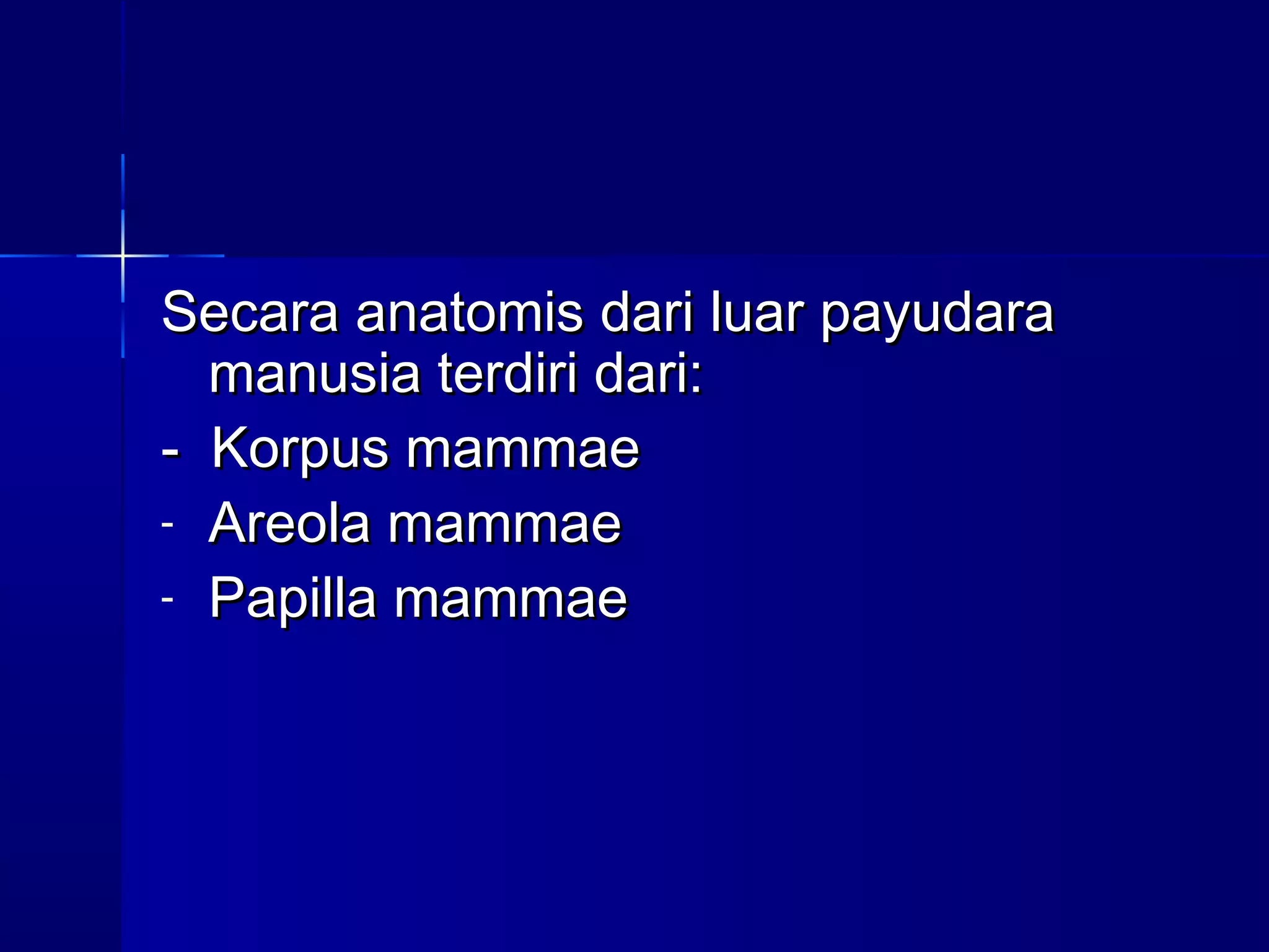 Anatomi fisiologi menyusui risna | PPT