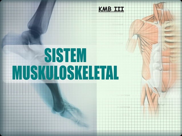 ANATOMI FISIOLOGI MUSKULOSKELETAL KMB III.ppt