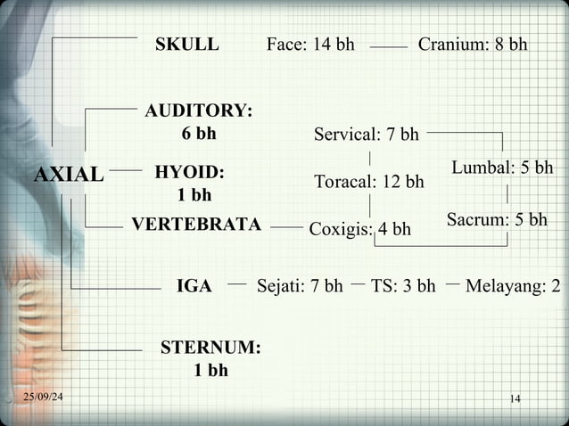ANATOMI FISIOLOGI MUSKULOSKELETAL KMB III.ppt
