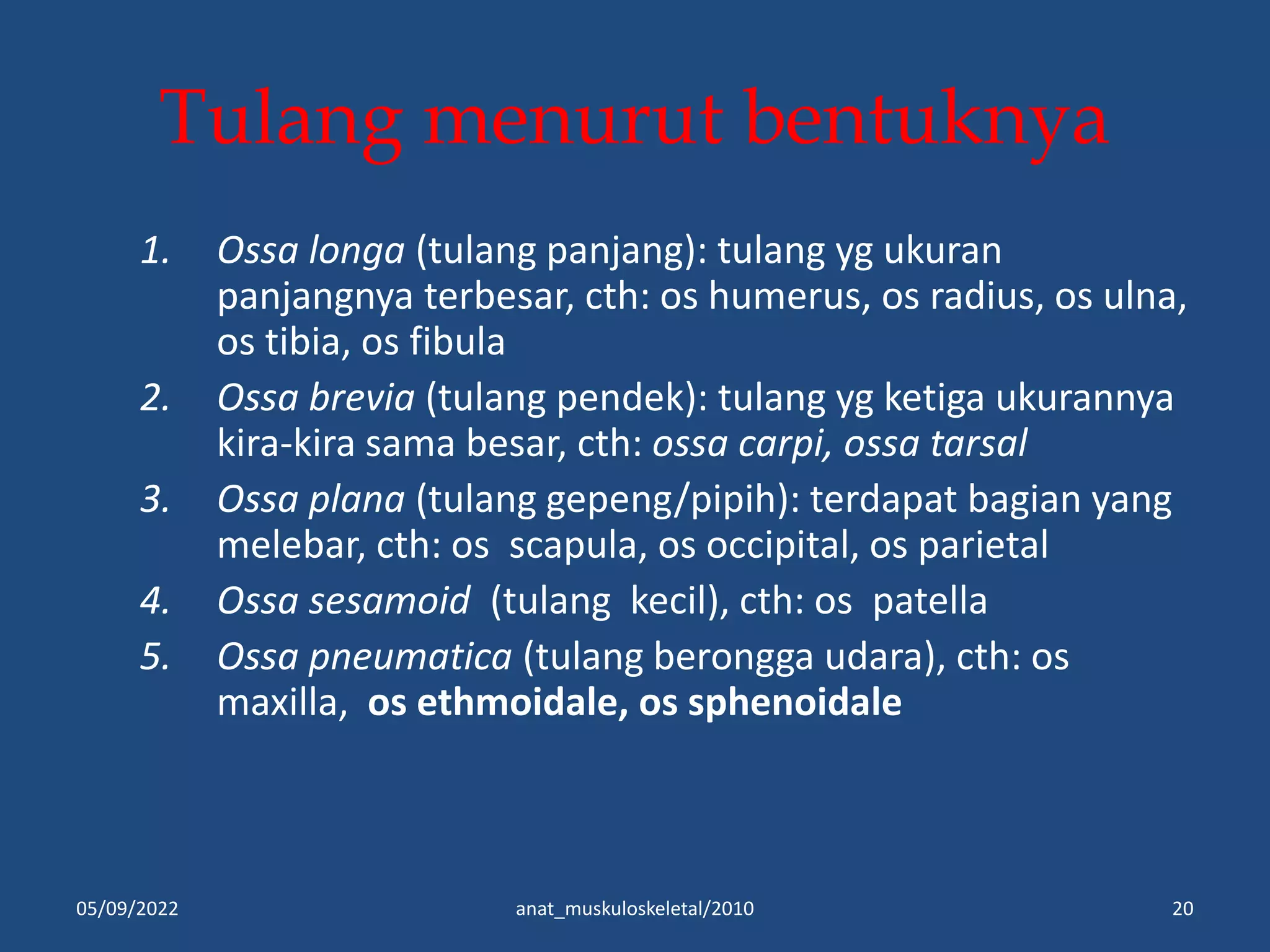 Anatomi_fisiologi_muskuloskeletal_ppt.ppt