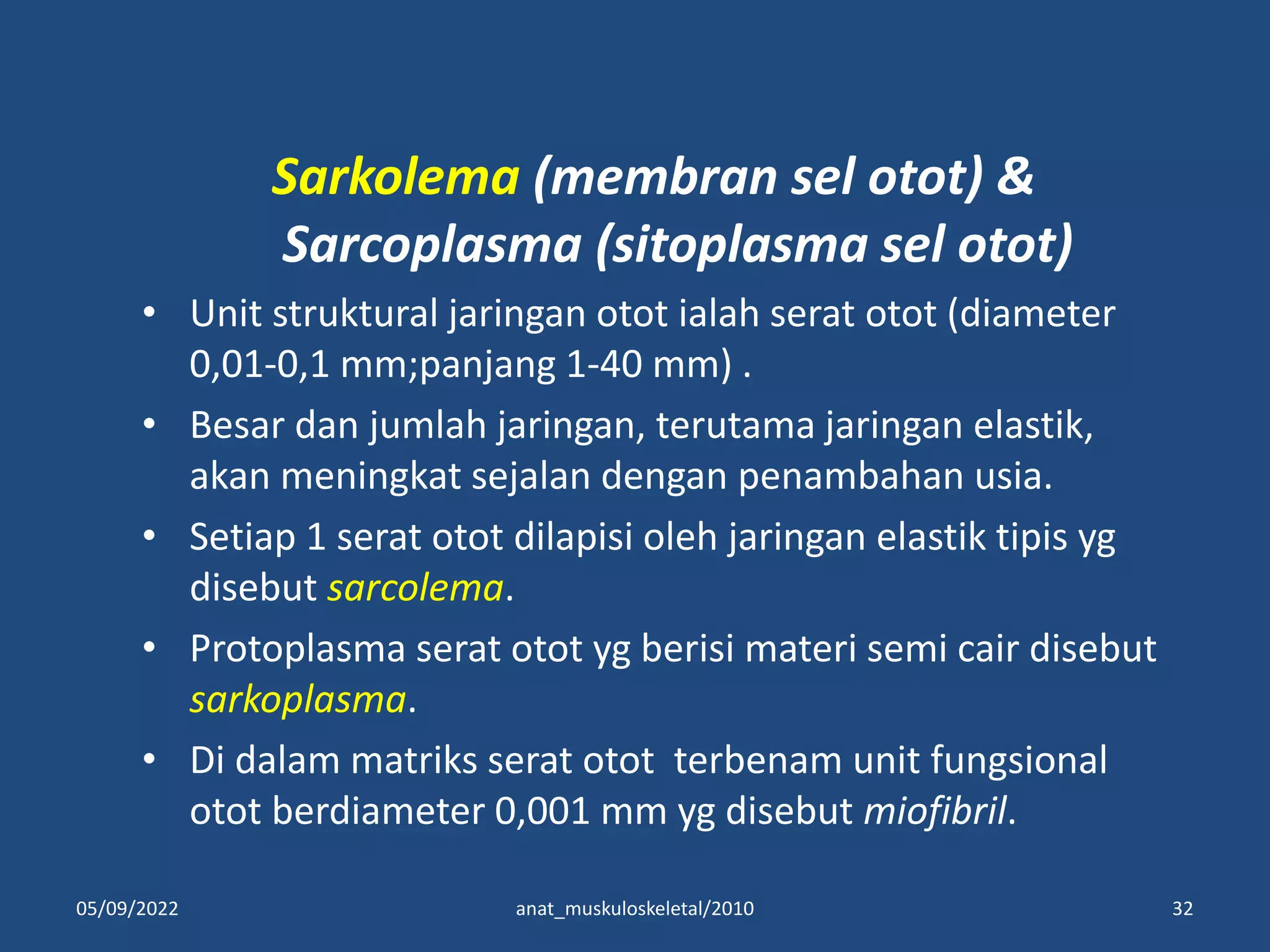 Anatomi_fisiologi_muskuloskeletal_ppt.ppt