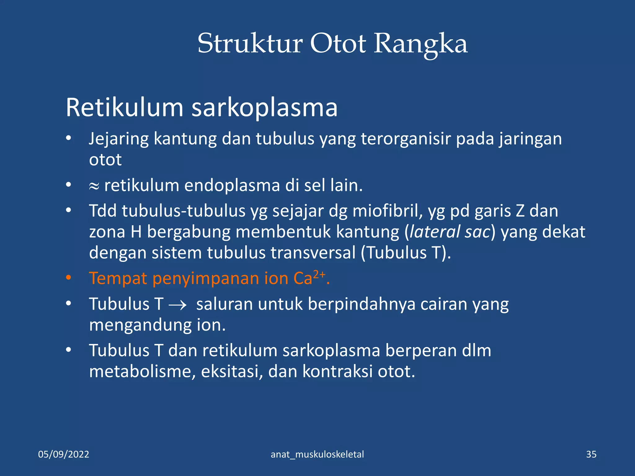Anatomi_fisiologi_muskuloskeletal_ppt.ppt