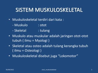 Anatomi_fisiologi_muskuloskeletal_ppt.ppt