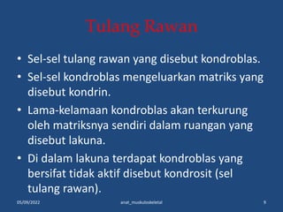 Anatomi_fisiologi_muskuloskeletal_ppt.ppt
