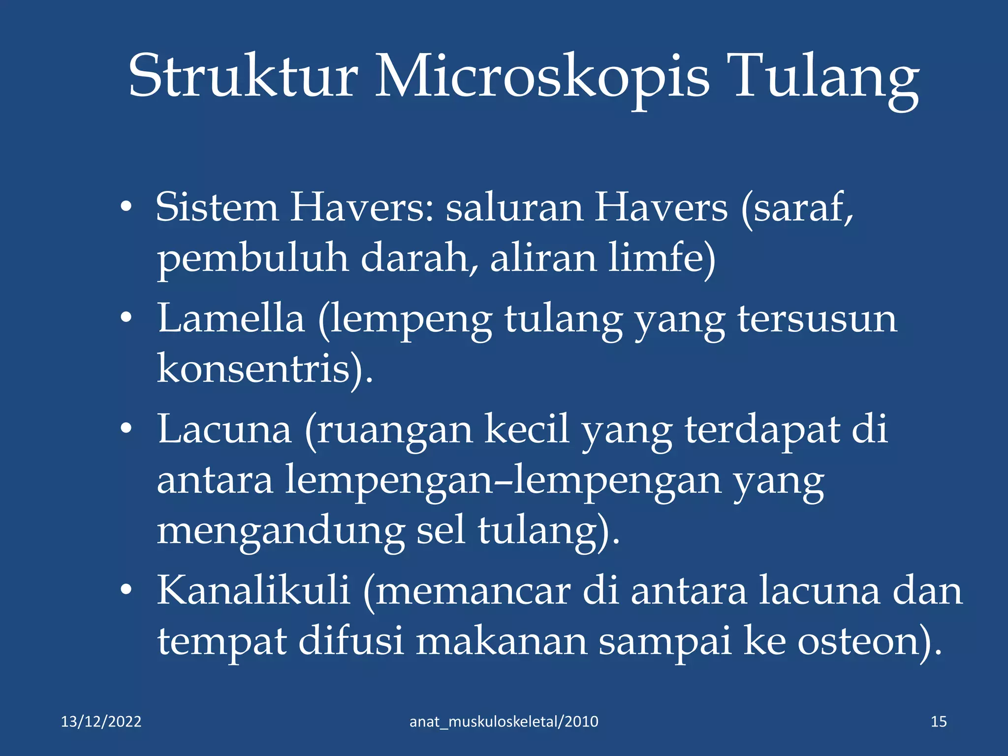 Anatomi_fisiologi_muskuloskeletal_ppt.ppt