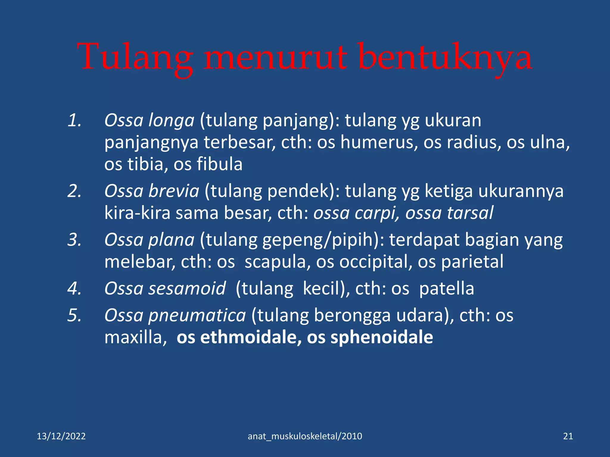 Anatomi_fisiologi_muskuloskeletal_ppt.ppt