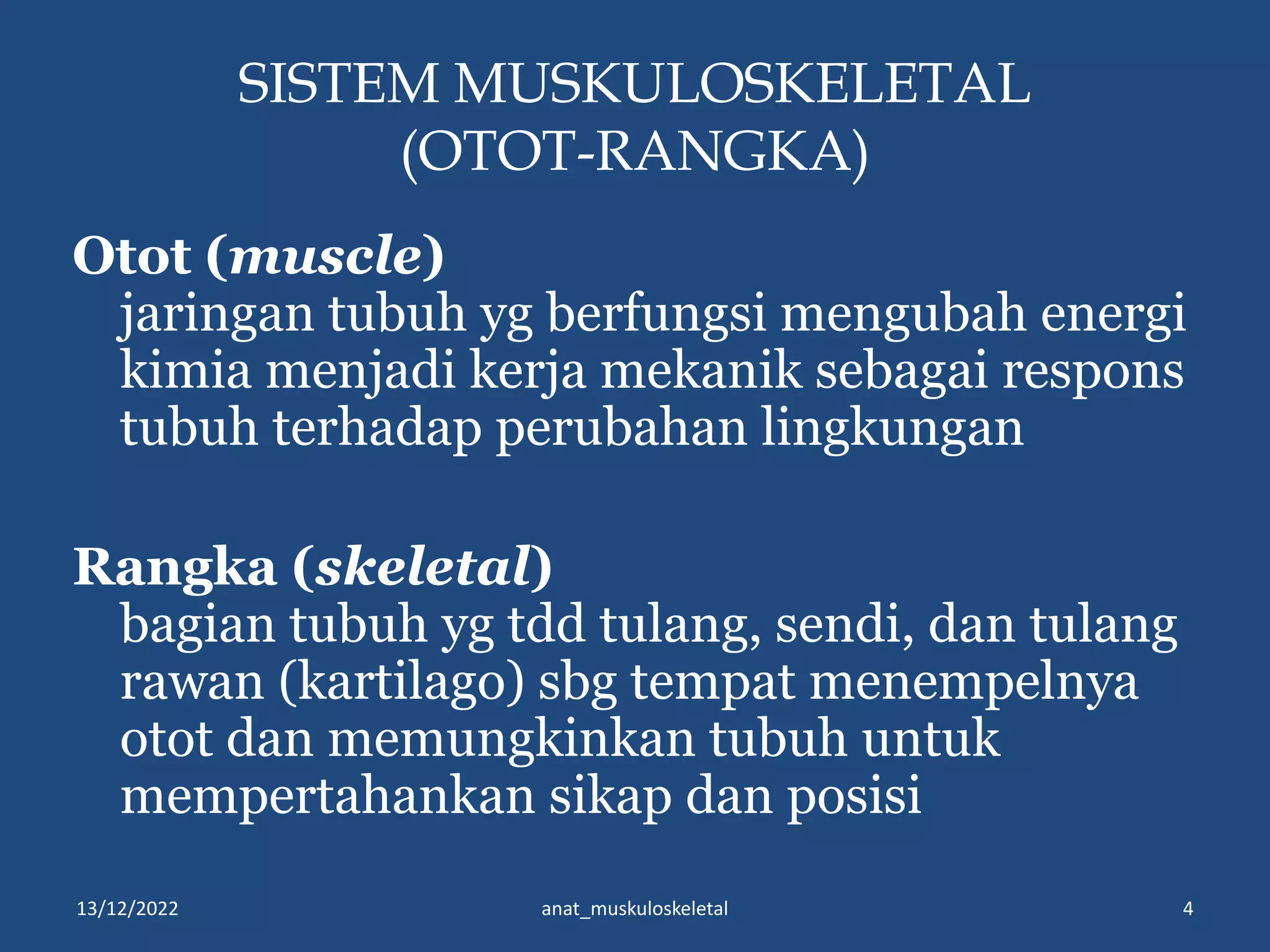 Anatomi_fisiologi_muskuloskeletal_ppt.ppt