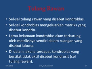 Anatomi_fisiologi_muskuloskeletal_ppt.ppt
