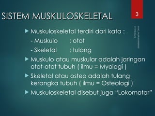 Anatomi_fisiologi_muskuloskeletal_ppt.ppt