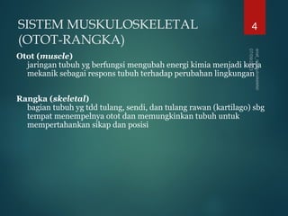 Anatomi_fisiologi_muskuloskeletal_ppt.ppt