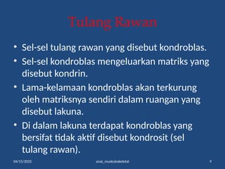 Anatomi_fisiologi_muskuloskeletal_ppt.ppt
