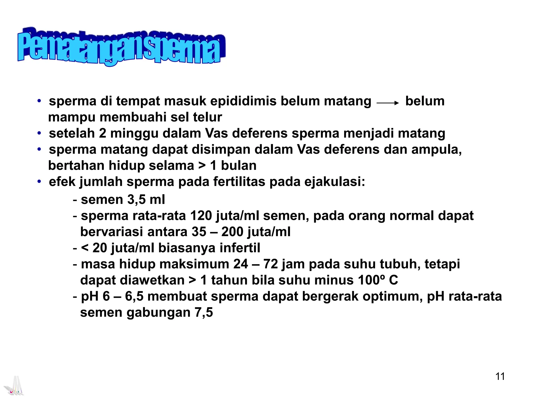 Anatomi Fisiologi Organ Reproduksi Pria dan Wanita.ppt