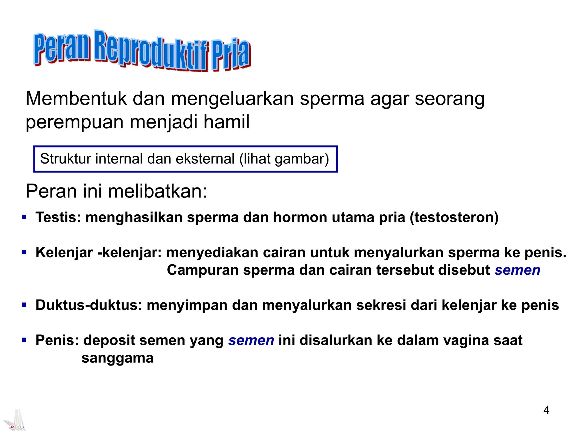 Anatomi Fisiologi Organ Reproduksi Pria dan Wanita.ppt