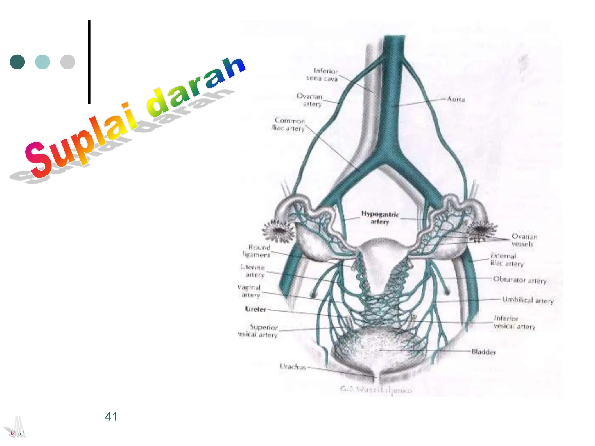 Anatomi Fisiologi Organ Reproduksi Pria dan Wanita.ppt