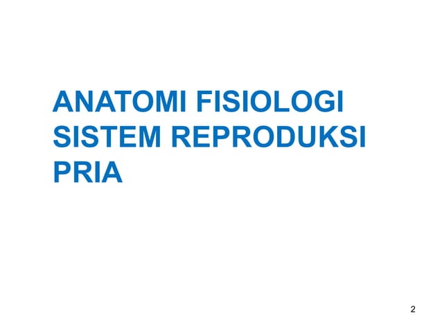 Anatomi Fisiologi Organ Reproduksi Pria dan Wanita.ppt