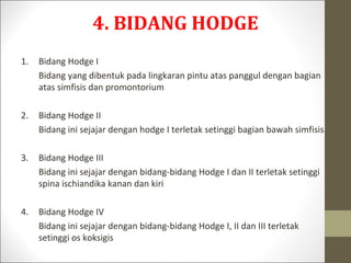Anatomi fisiologi organ reproduksi wanita (review) | PPT