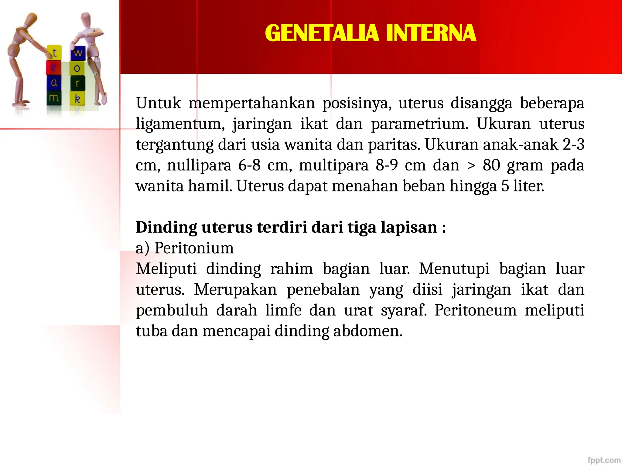 Anatomi_Fisiologi_Organ_Reproduksi_Wanit salinan.pptx