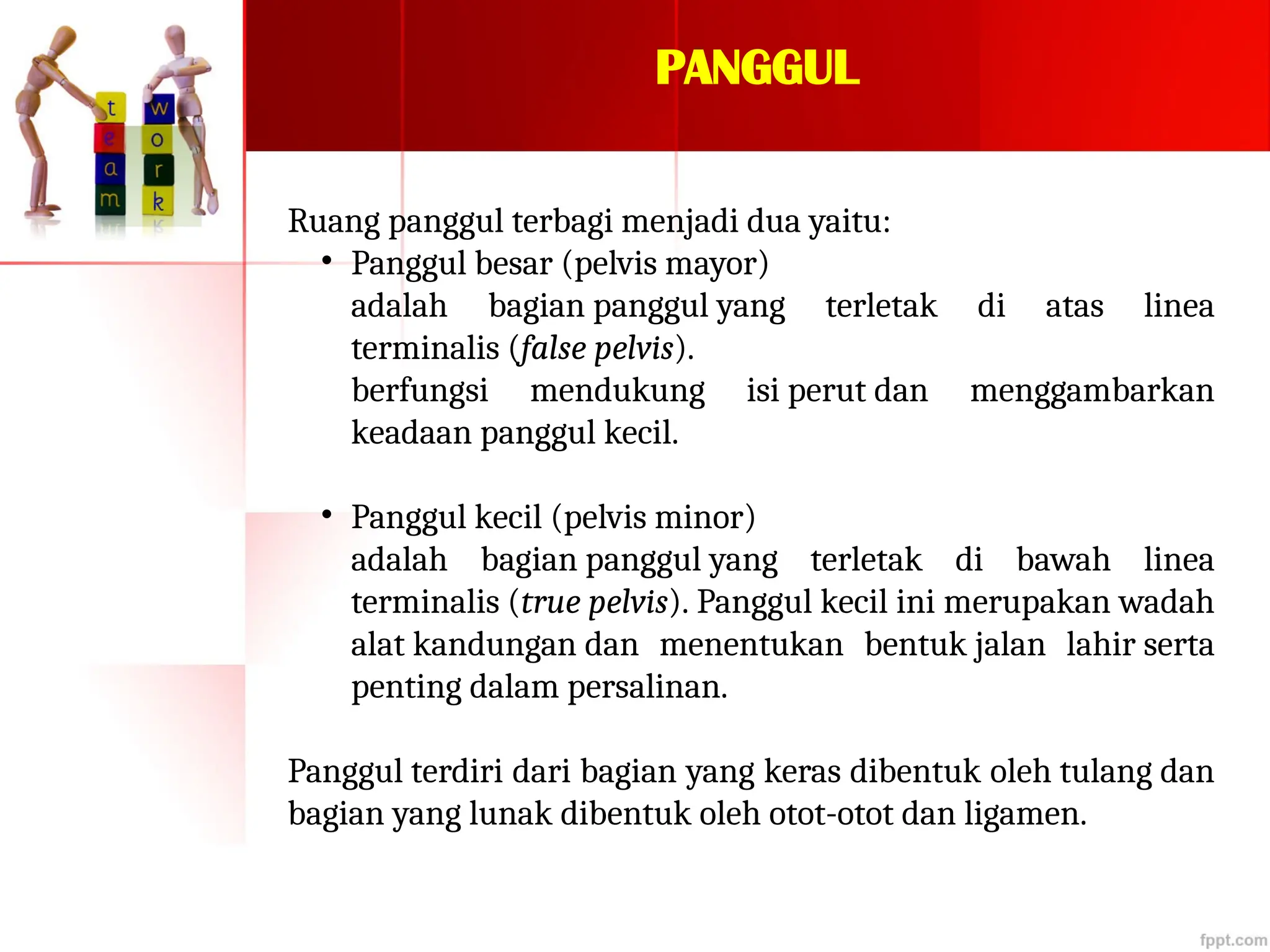 Anatomi_Fisiologi_Organ_Reproduksi_Wanit salinan.pptx