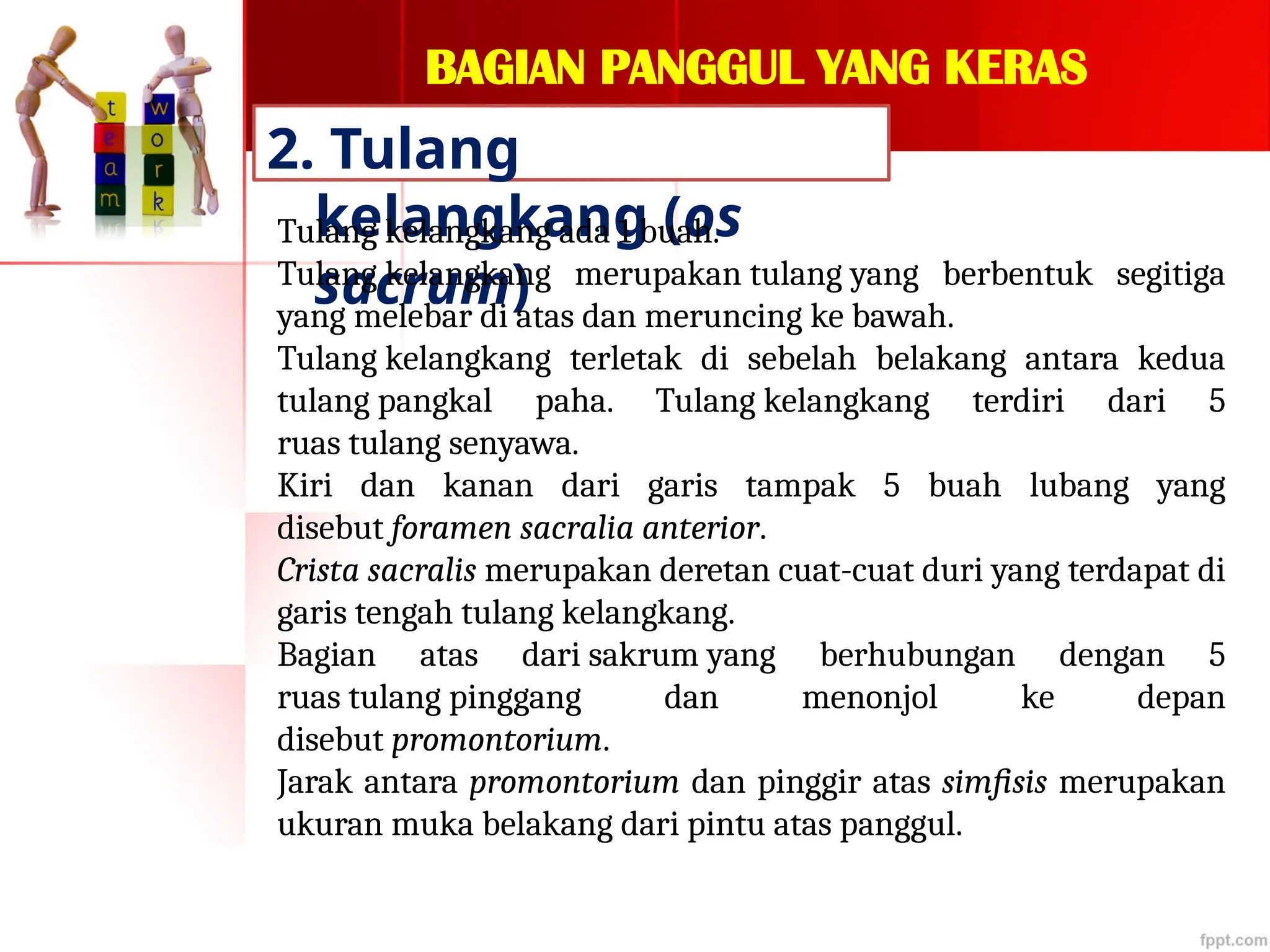 Anatomi_Fisiologi_Organ_Reproduksi_Wanit salinan.pptx