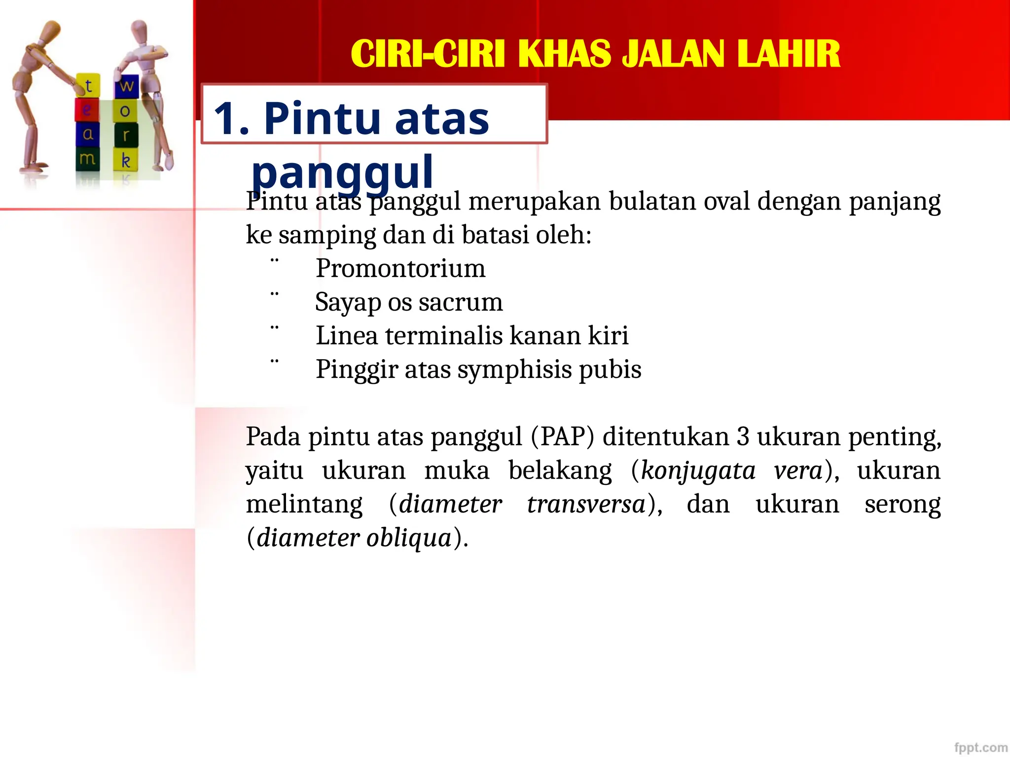 Anatomi_Fisiologi_Organ_Reproduksi_Wanit salinan.pptx