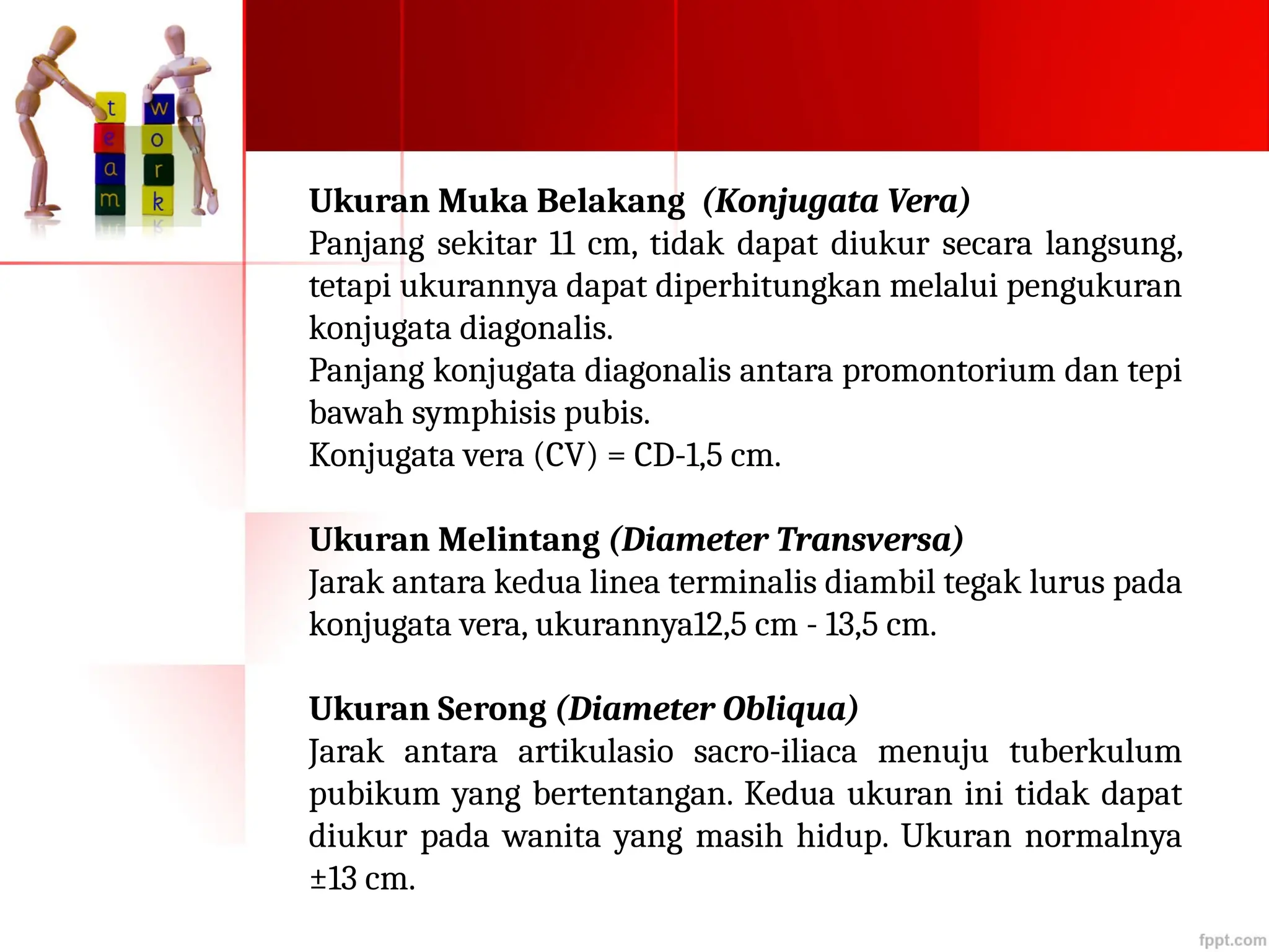 Anatomi_Fisiologi_Organ_Reproduksi_Wanit salinan.pptx
