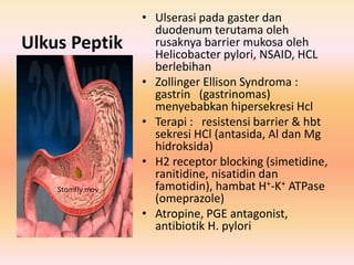 Anatomi dan fisiologi pencernaan naura.ppt