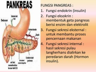 Anatomi dan fisiologi pencernaan naura.ppt