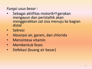 Anatomi dan fisiologi pencernaan naura.ppt