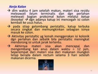 Anatomi dan fisiologi pencernaan naura.ppt