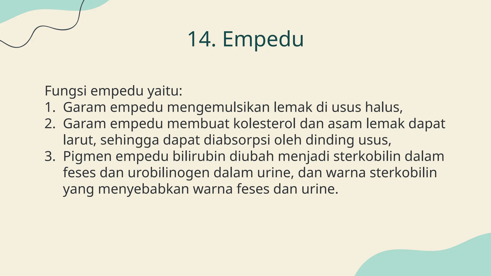 Anatomi Fisiologi Pencernaan Manusia-2.pptx